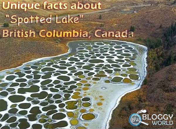 Geographical Features of the Spotted Lake (Lake Khiluk)